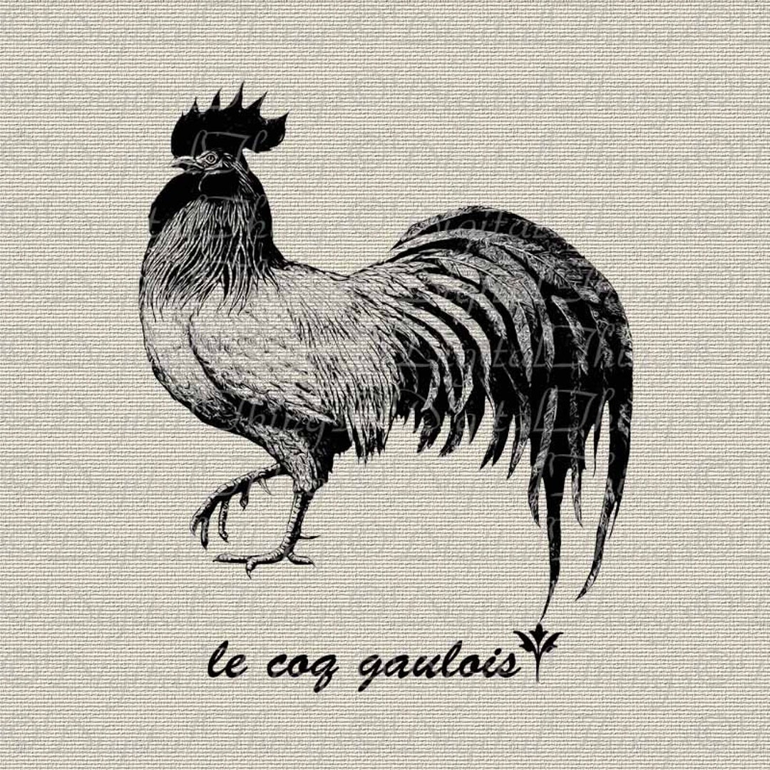 French Rooster Bird French Decor Kitchen Decor Wall Decor - Etsy