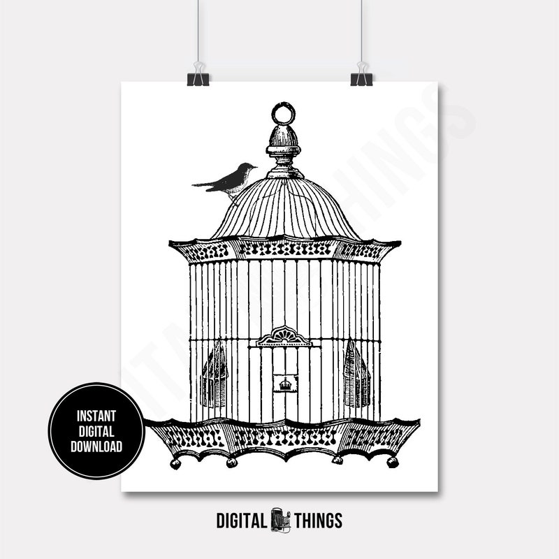 Bird Cage Print - Etsy