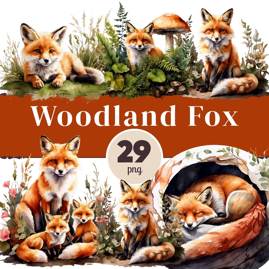 Woodland Fox 29 Clipart Bundle, Watercolor Fox Animals PNG, Forest ...