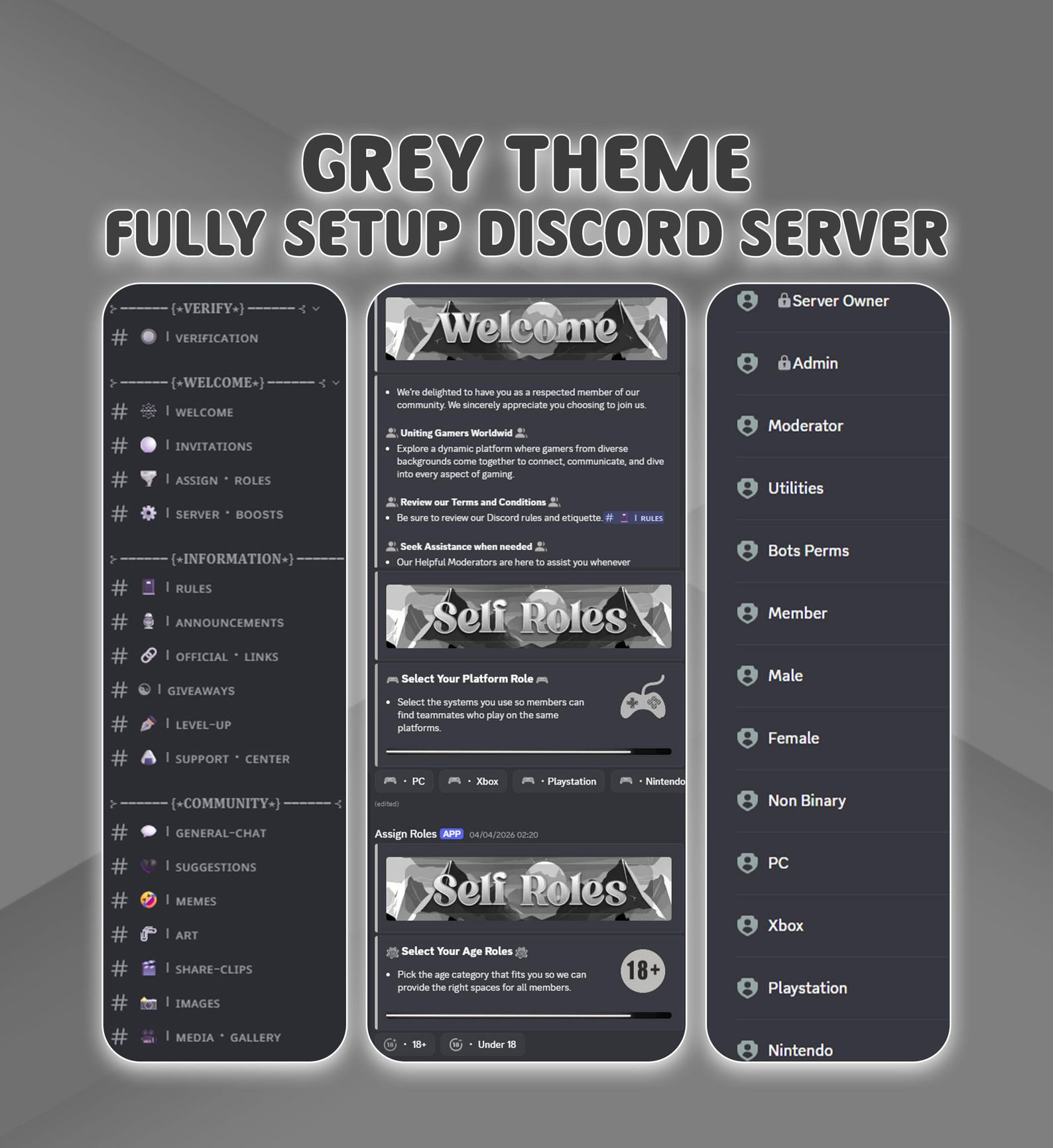 Fully Setup Discord Server - Etsy