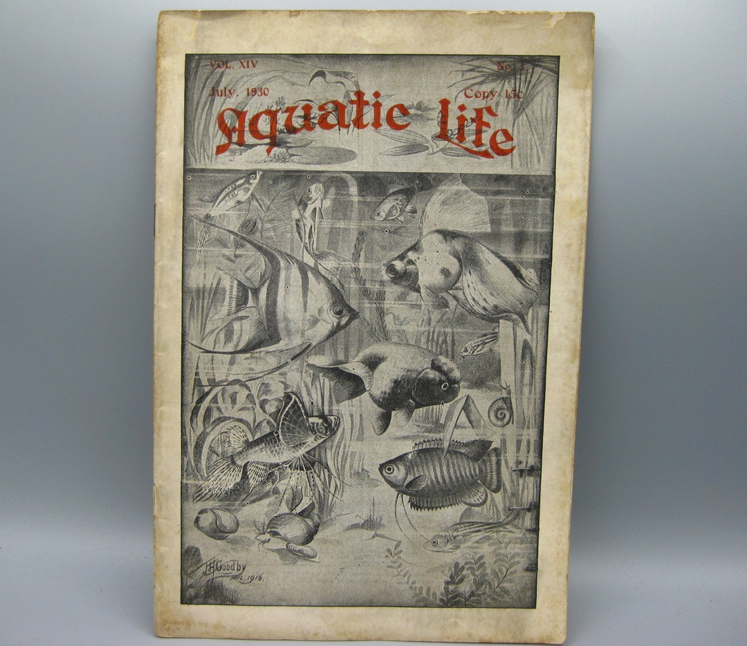 Aquatic Life Magazine July 1930 Aquarium Exotic Fish Vol. XIV No. 3 - Etsy