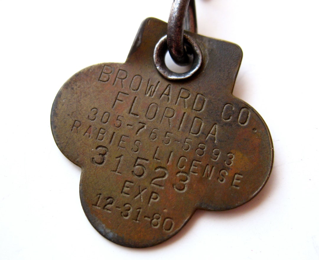 Vintage 1980 Dog Rabies License Broward County Florida Brass Collar Tag ...