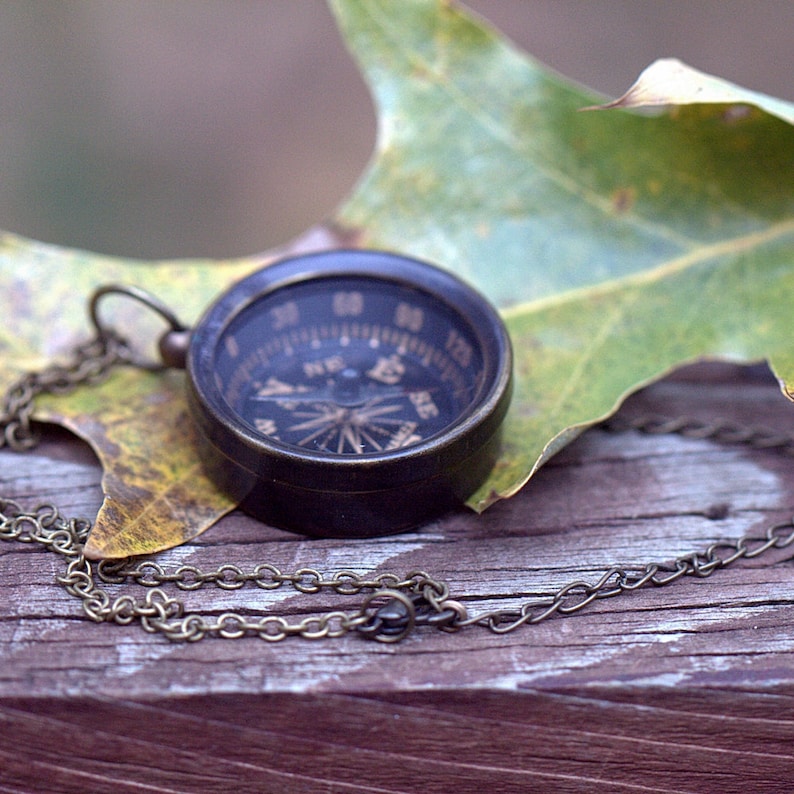 Compass Necklace Works, Plus- Verdigris Bird & a Pearl Charm, Adventure ...