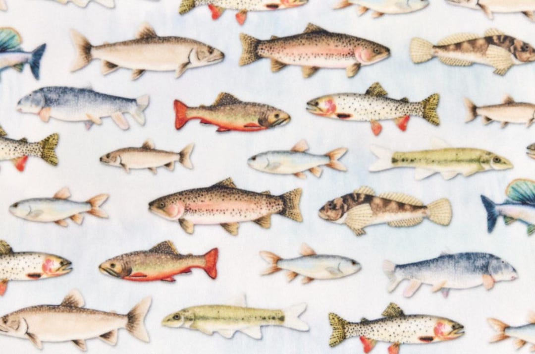 Minky Fabric by the Yard -plenty of Fish Digital Cuddle®multi by ...
