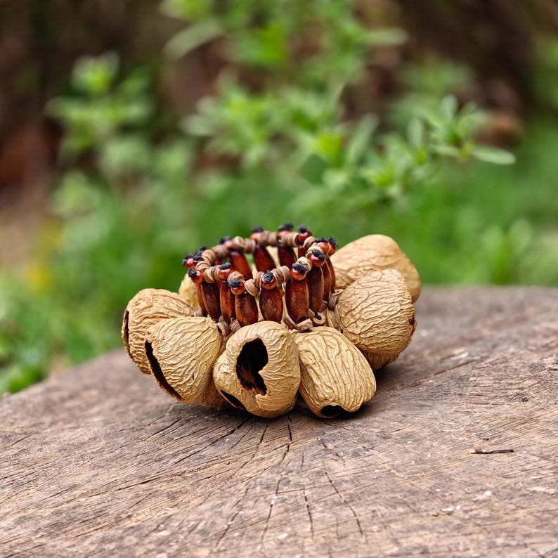 Seed Pod Nut Bracelet Set, Tribal Boho Wooden Beaded Wrist Rattle - Etsy