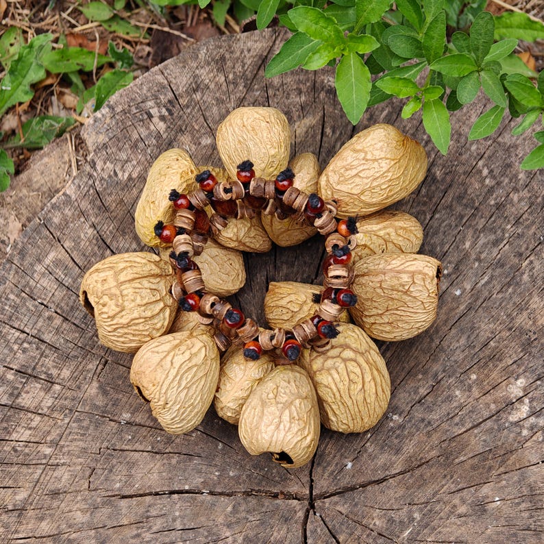 Seed Pod Nut Bracelet Set, Tribal Boho Wooden Beaded Wrist Rattle - Etsy
