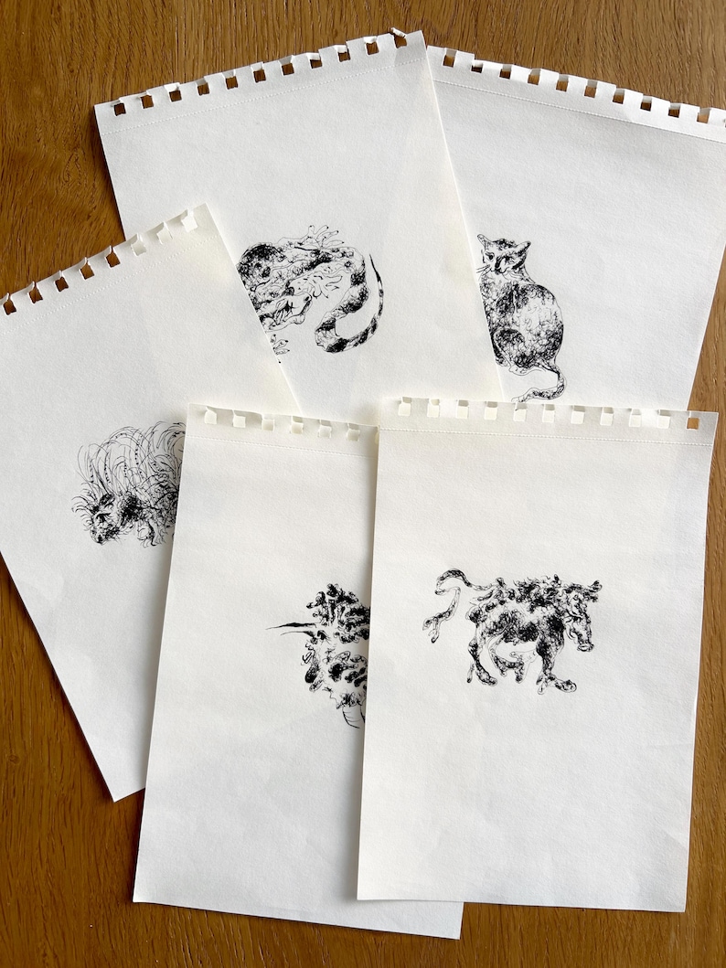 Gecko Ink Drawing Limited Edition, Hand Drawn Reptile Sketch Original ...