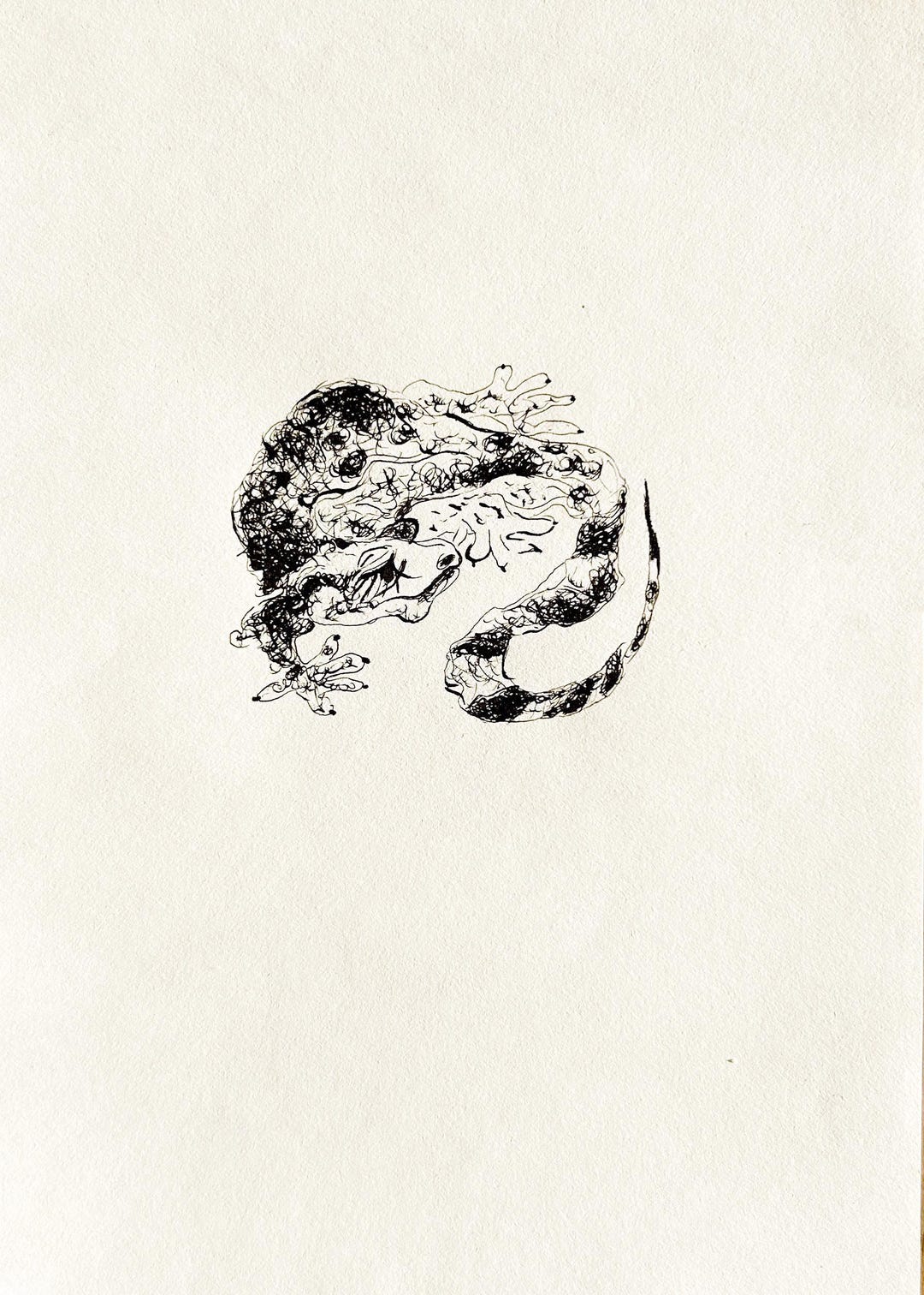 Gecko Ink Drawing Limited Edition, Hand Drawn Reptile Sketch Original ...