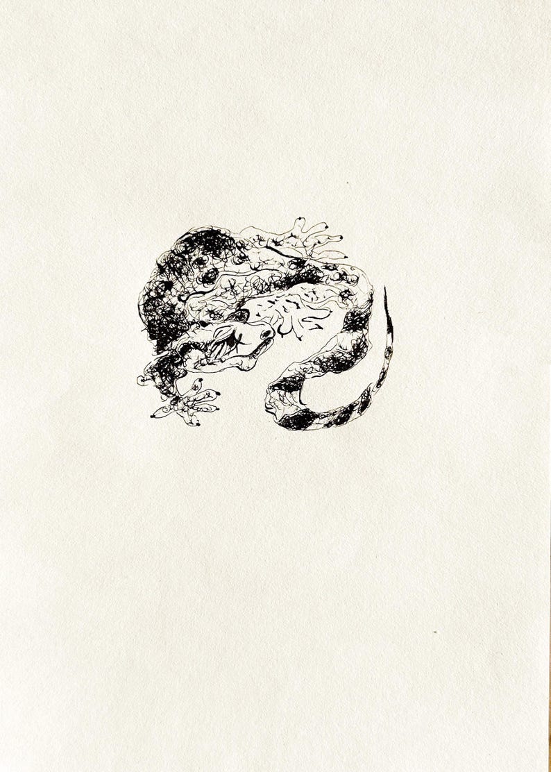 Gecko Ink Drawing, Limited Edition Reptile Sketch, Original A5 Wall Art ...