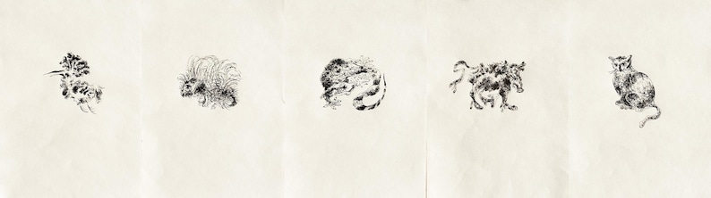 Gecko Ink Drawing, Limited Edition Reptile Sketch, Original A5 Wall Art ...