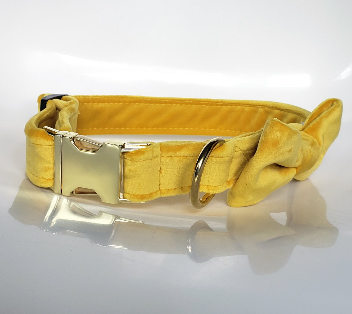 Yellow Velvet Collar With Bow Tie, Dog Collar Bow Tie, Cat Collar Bow ...