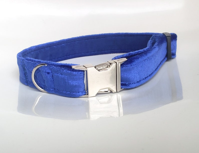 Royal Blue Velvet Collar With Bow Tie, Dog Collar Bow Tie, Blue Velvet ...