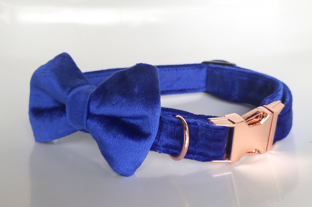 Royal Blue Velvet Collar With Bow Tie, Dog Collar Bow Tie, Blue Velvet ...