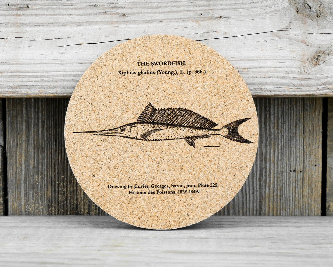 Cork Coasters Fish Set of 4 - Etsy