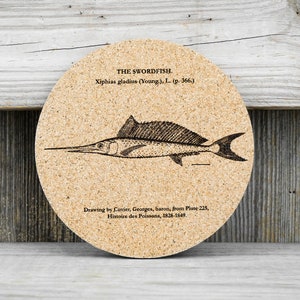 Cork Coasters - Fish - Set of 4 - Etsy