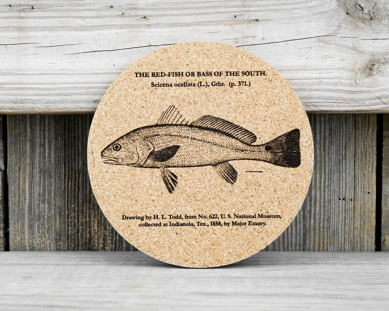 Cork Coasters Fish Set of 4 - Etsy