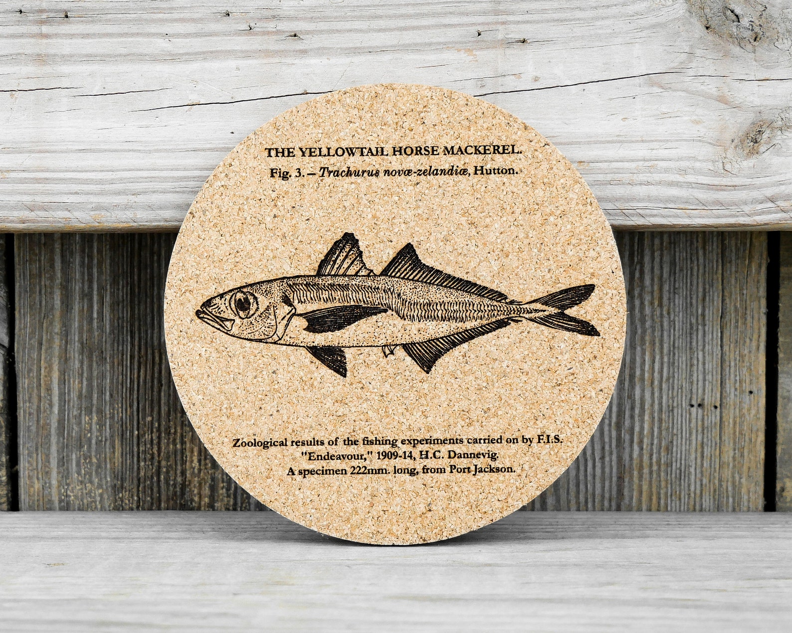 Cork Coasters Fish Set of 4 | Etsy