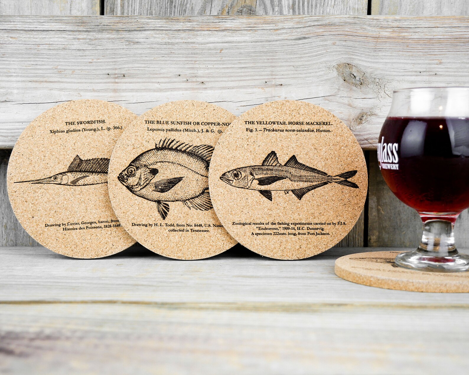 Cork Coasters Fish Set of 4 | Etsy