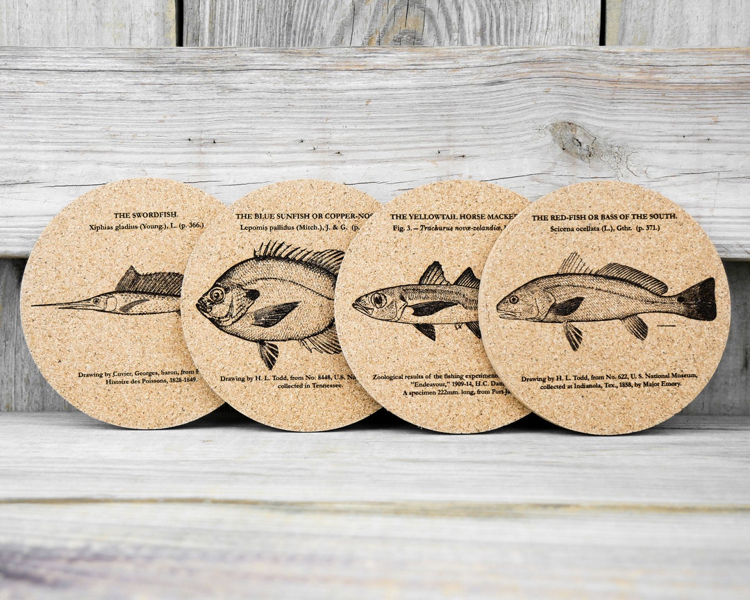 Cork Coasters - Fish - Set of 4 - Etsy