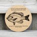 Cork Coasters - Fish - Set of 4 - Etsy