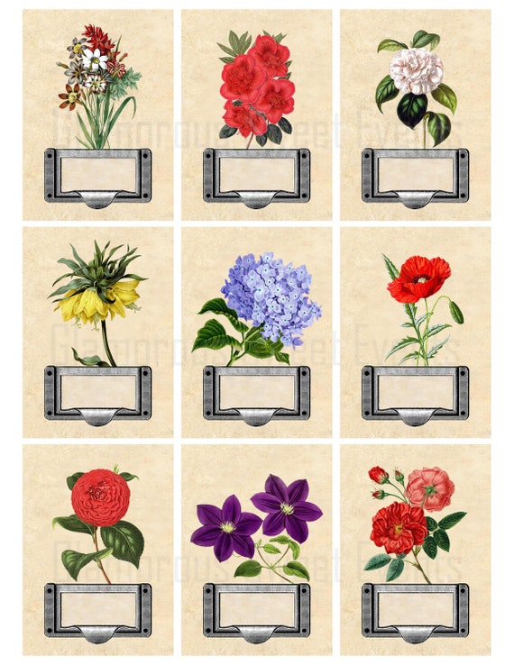 INSTANT DOWNLOAD Vintage Flower Labels Vintage Flower Tags | Etsy