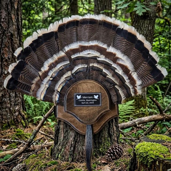 Turkey Beard Display - Etsy
