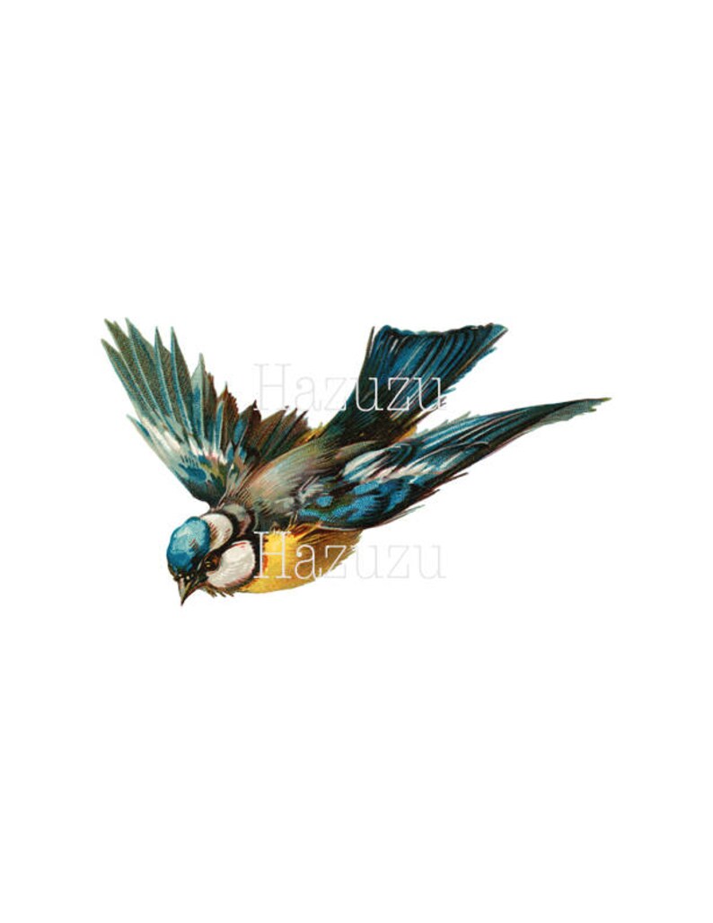 FLYING BLUEBIRD PNG Vintage Clip Art Transparent Background - Etsy
