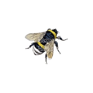 HONEY BEE PNG Bumble Bee Clip Art Transparent Background Digital Stamp ...