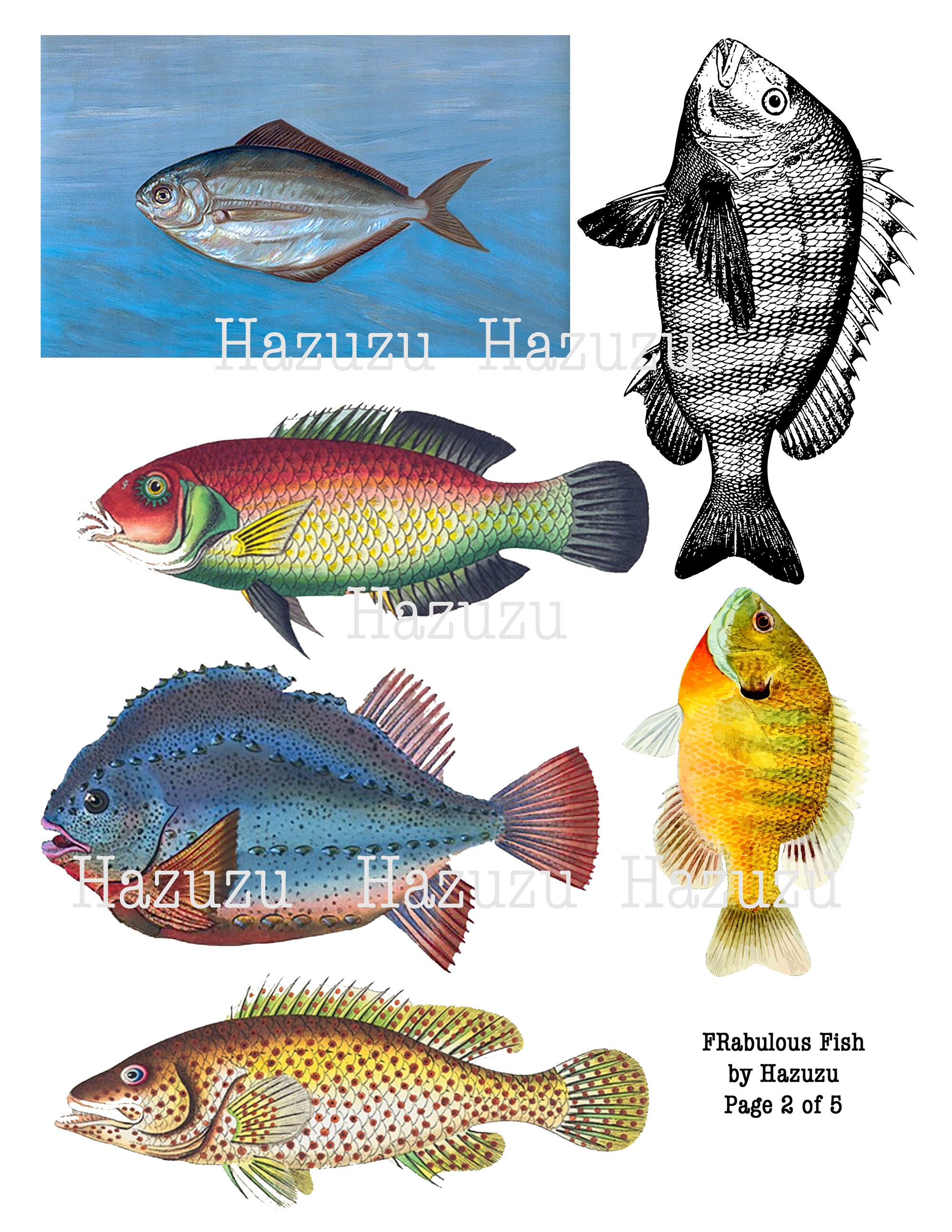 Fish Printable Collage Sheets Paper Pack Bundle ocean sea reef | Etsy