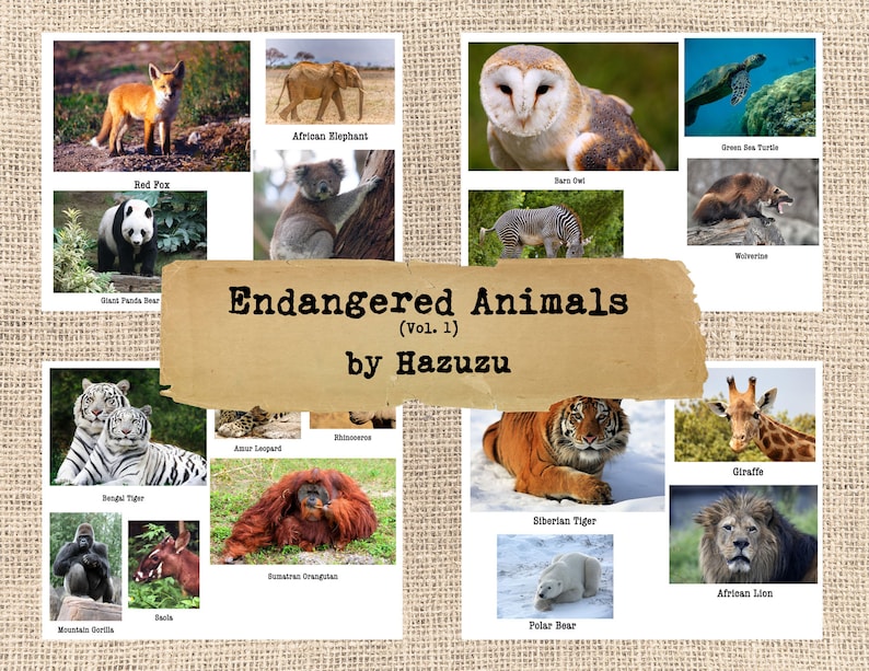 Endangered Animals Species Bundle 7 Pages Collage Sheets | Etsy