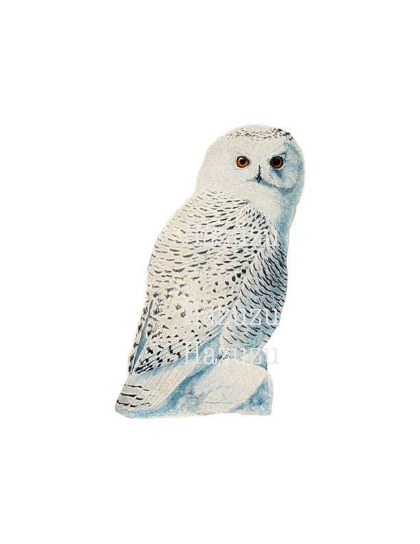 SNOWY OWL PNG bird clip art woodland transparent background | Etsy