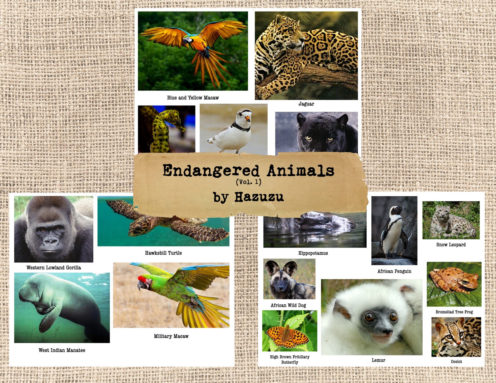 Endangered Animals Species Bundle 7 Pages Collage Sheets | Etsy