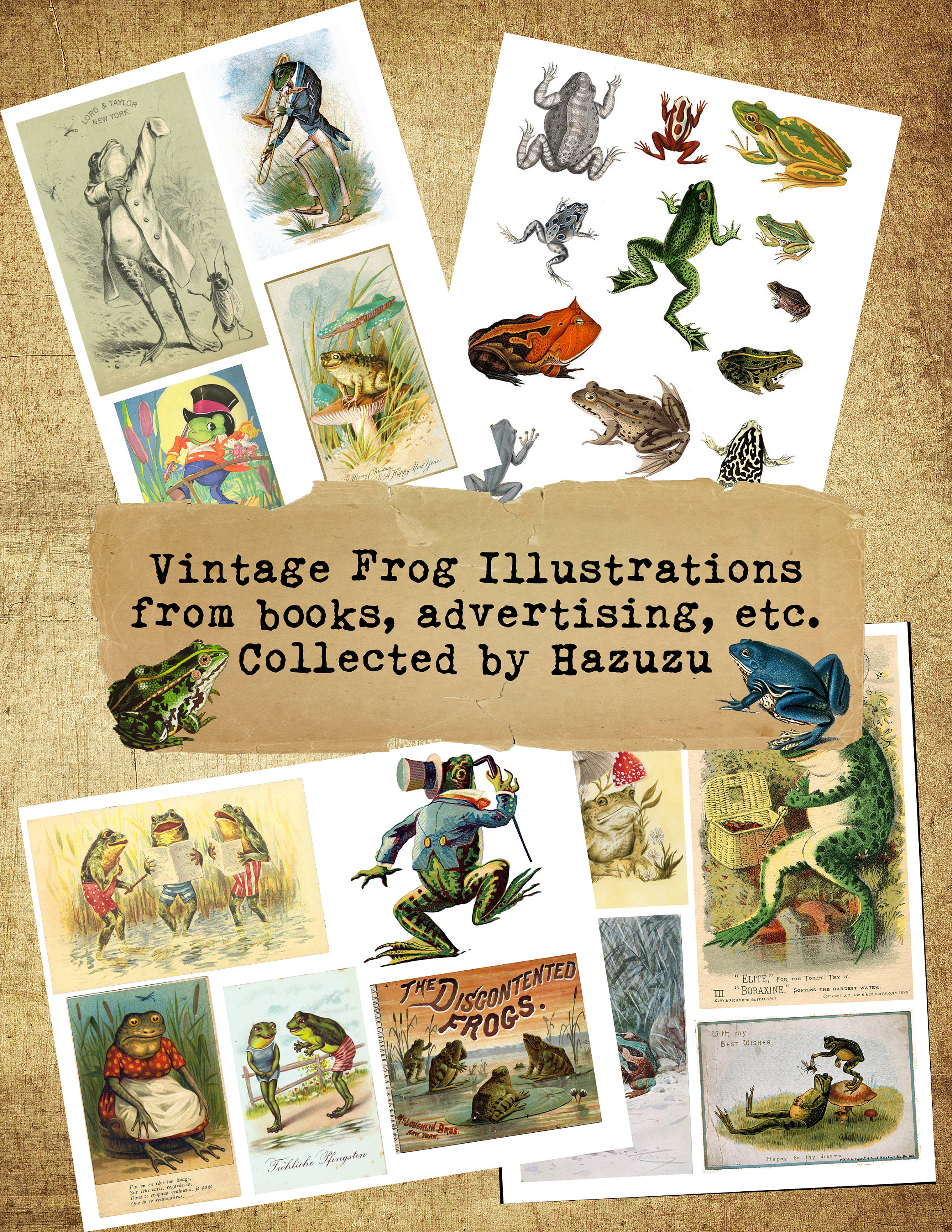 Vintage Frog Illustrations Bundle Victorian Trade Cards Printable Fairy ...