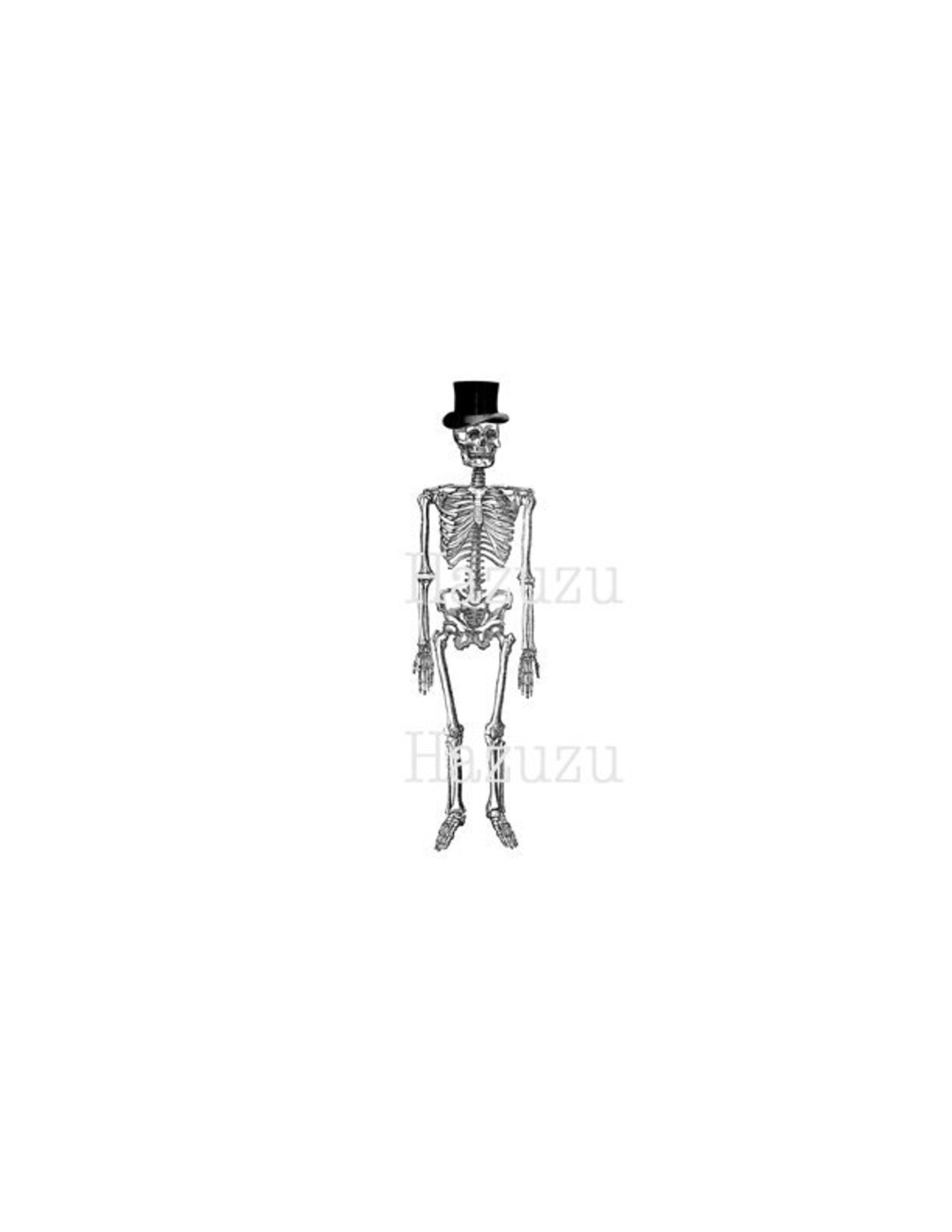 Halloween Skeleton Top Hat Bones PNG Vintage Clip Art Holiday Trick or ...