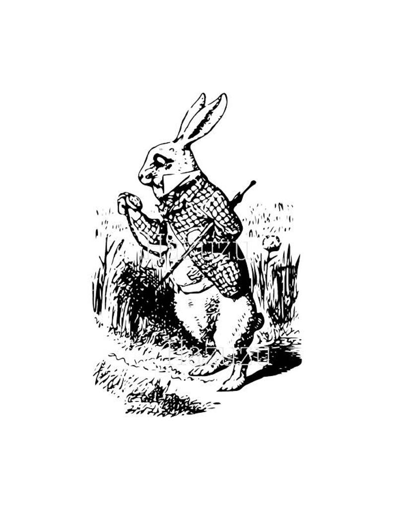 WHITE RABBIT Alice in Wonderland PNG Clip Art Transparent | Etsy
