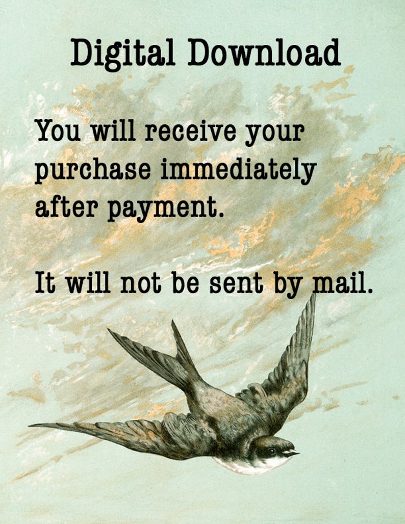 Old French Wine & Spirits Logo Vintage PNG Digital Stamp - Etsy