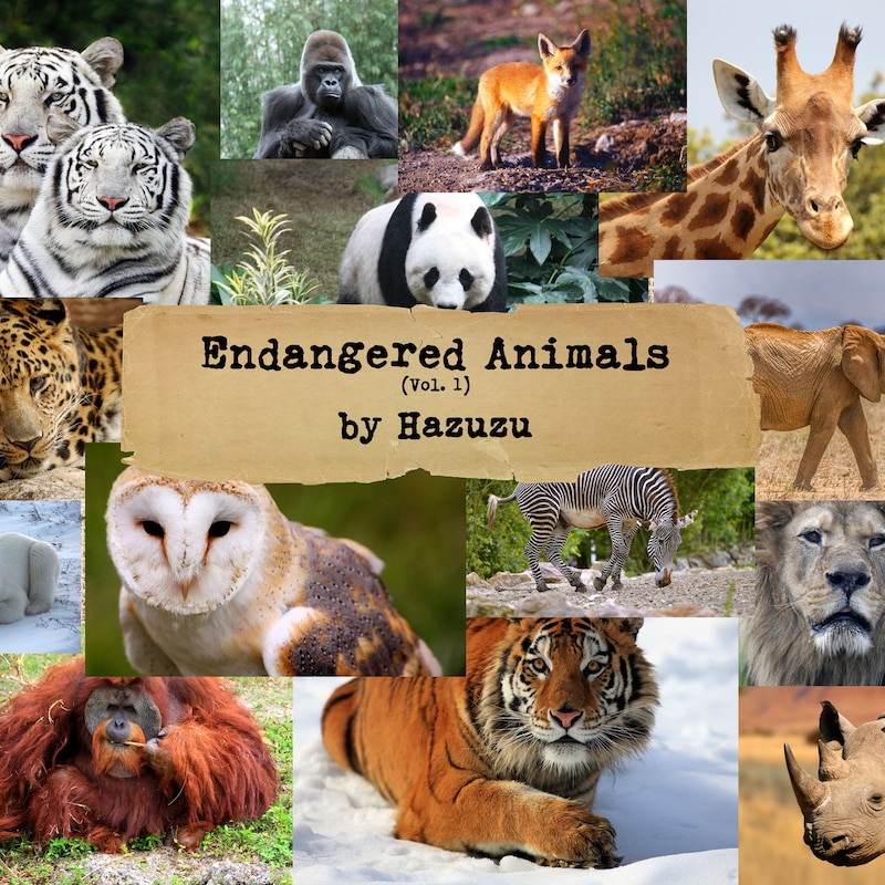 Endangered Animal Crafts - Etsy UK