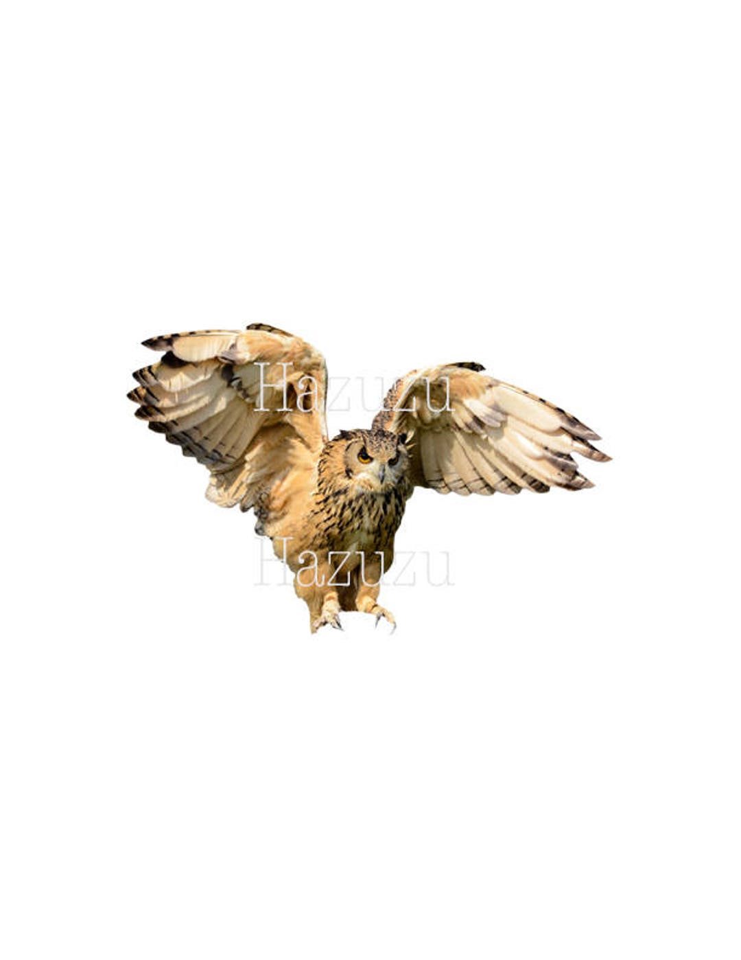 FLYING OWL PNG Bird Clip Art Transparent Background Digital Stamp ...