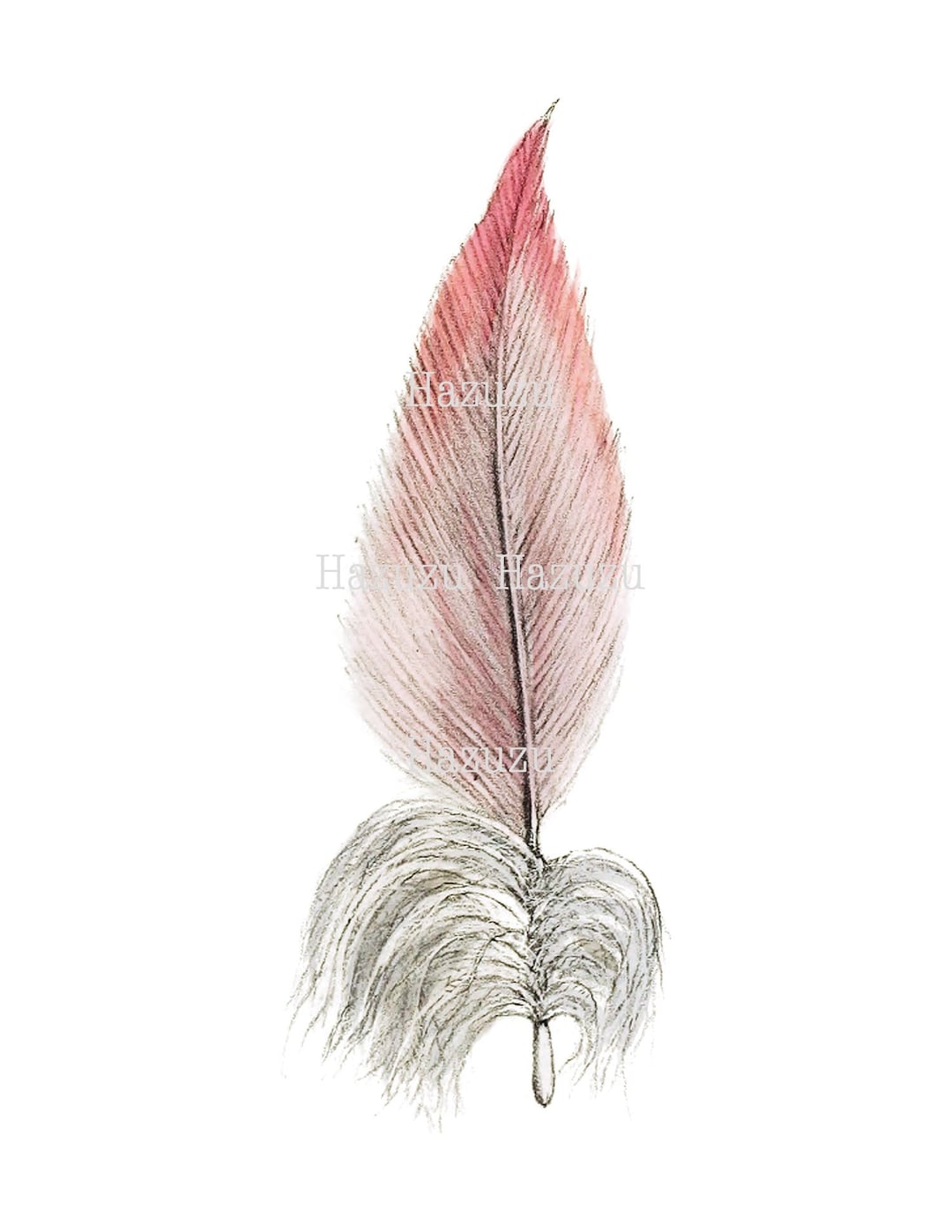 Pink Feather Ephemera Feathers PNG Printable Bird Clip Art Digital ...