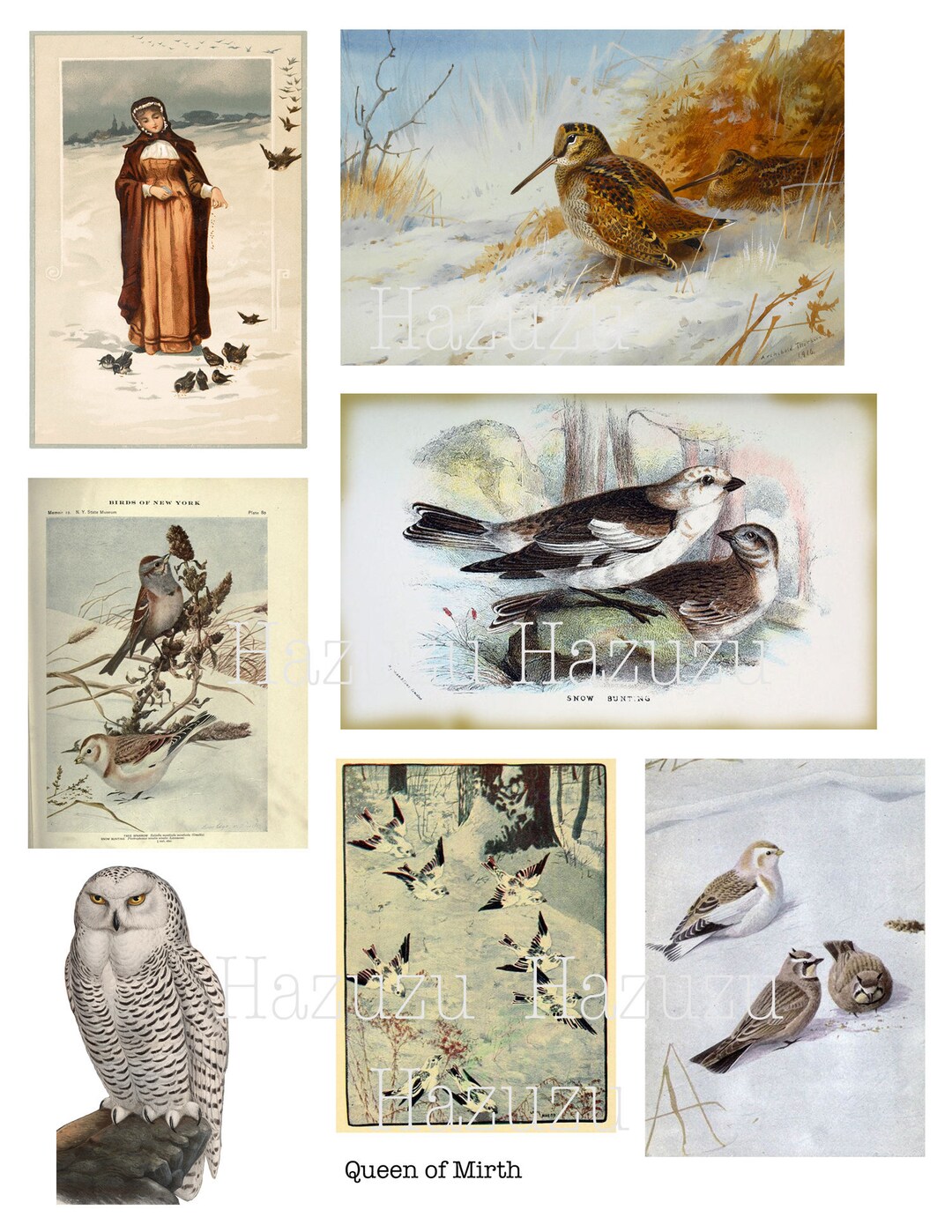 Winter Birds Printable Paper Pack Bundle Snow Paper Instant Download ...