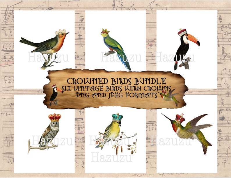 Birds Wearing Crowns Bundle PNG Bird Clip Art Paper Pack Hummingbird ...