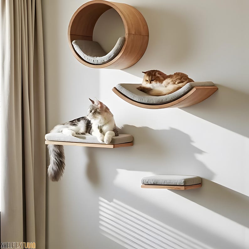 Modern Wood Cat Climbing Wall Set | Floating Shelves & Bed - Etsy