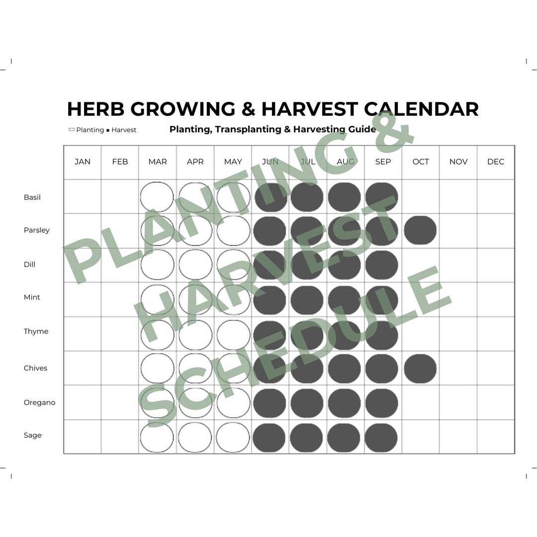Printable Garden & Plant Growing Calendars - Etsy