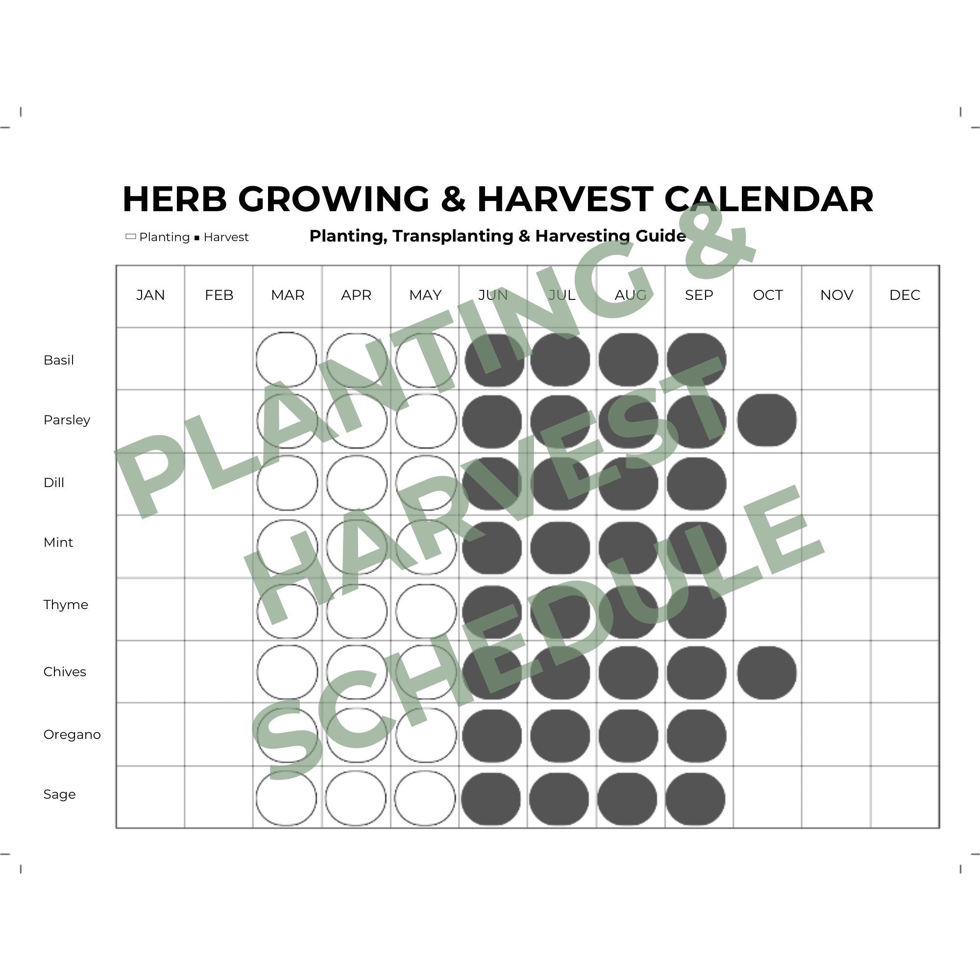 Printable Garden & Plant Growing Calendars - Etsy