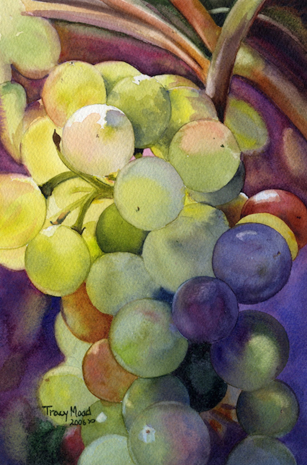 Watercolor Grape Cluster "harvest Two" Watercolor Grape Print Vineyard ...