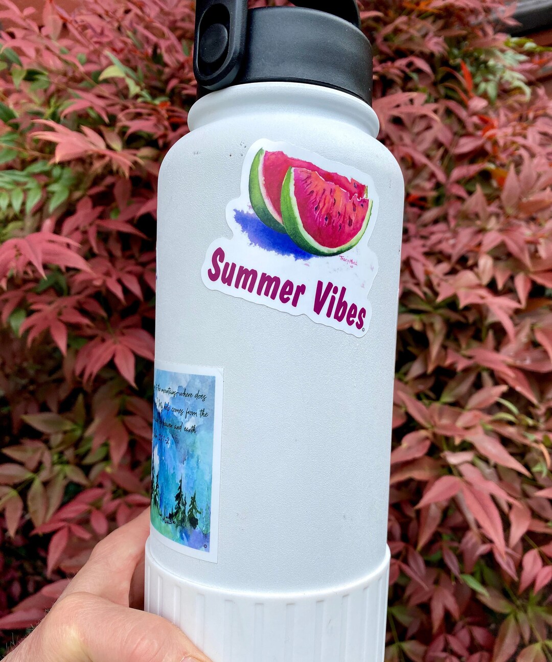 Watermelon Water Bottle Sticker Summer Vibes - Etsy
