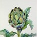 Vegetable Art, Art E. Choke, Original Painting, Botanical Art - Etsy