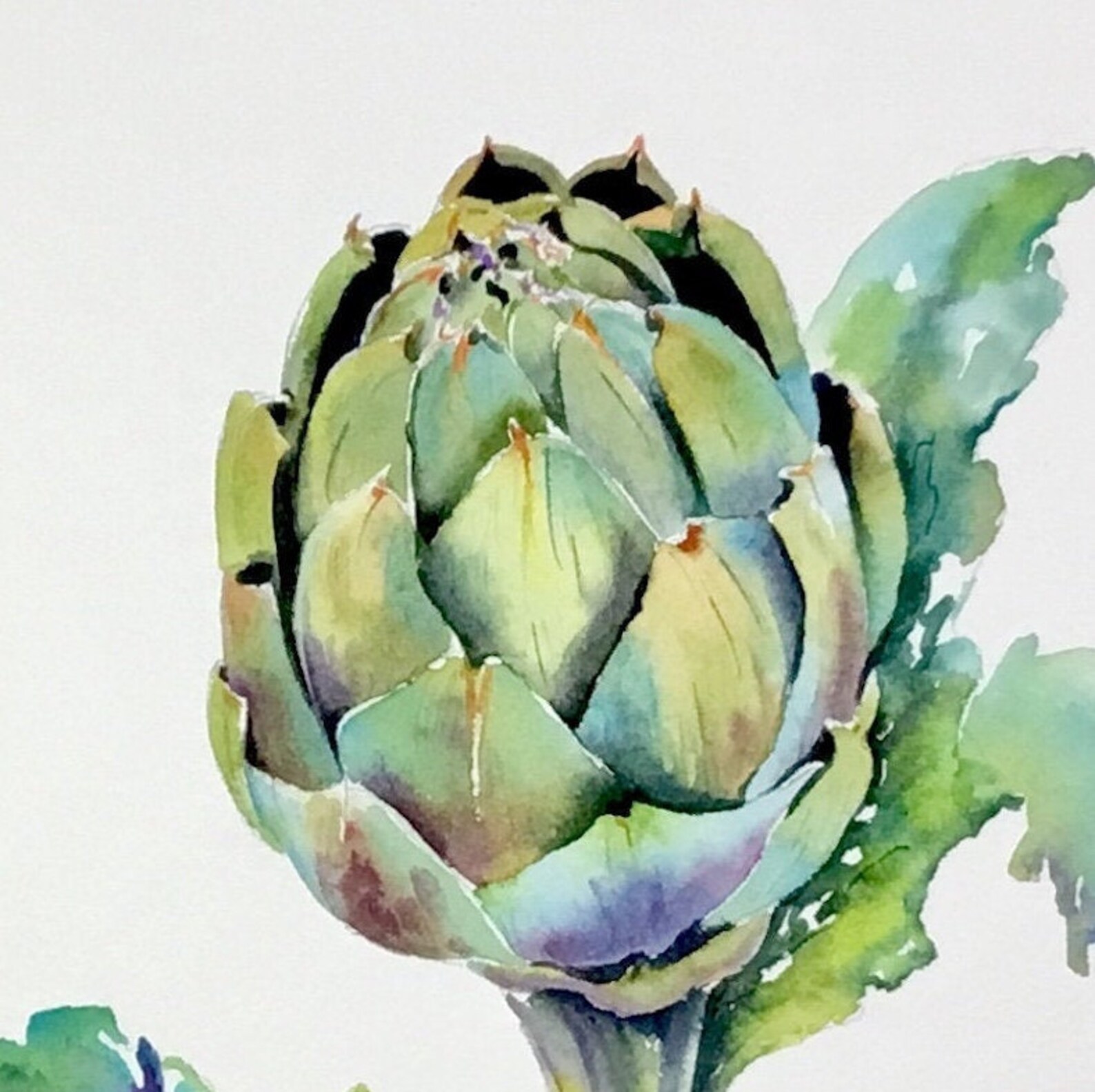 Vegetable Art, Art E. Choke, Original Painting, Botanical Art - Etsy