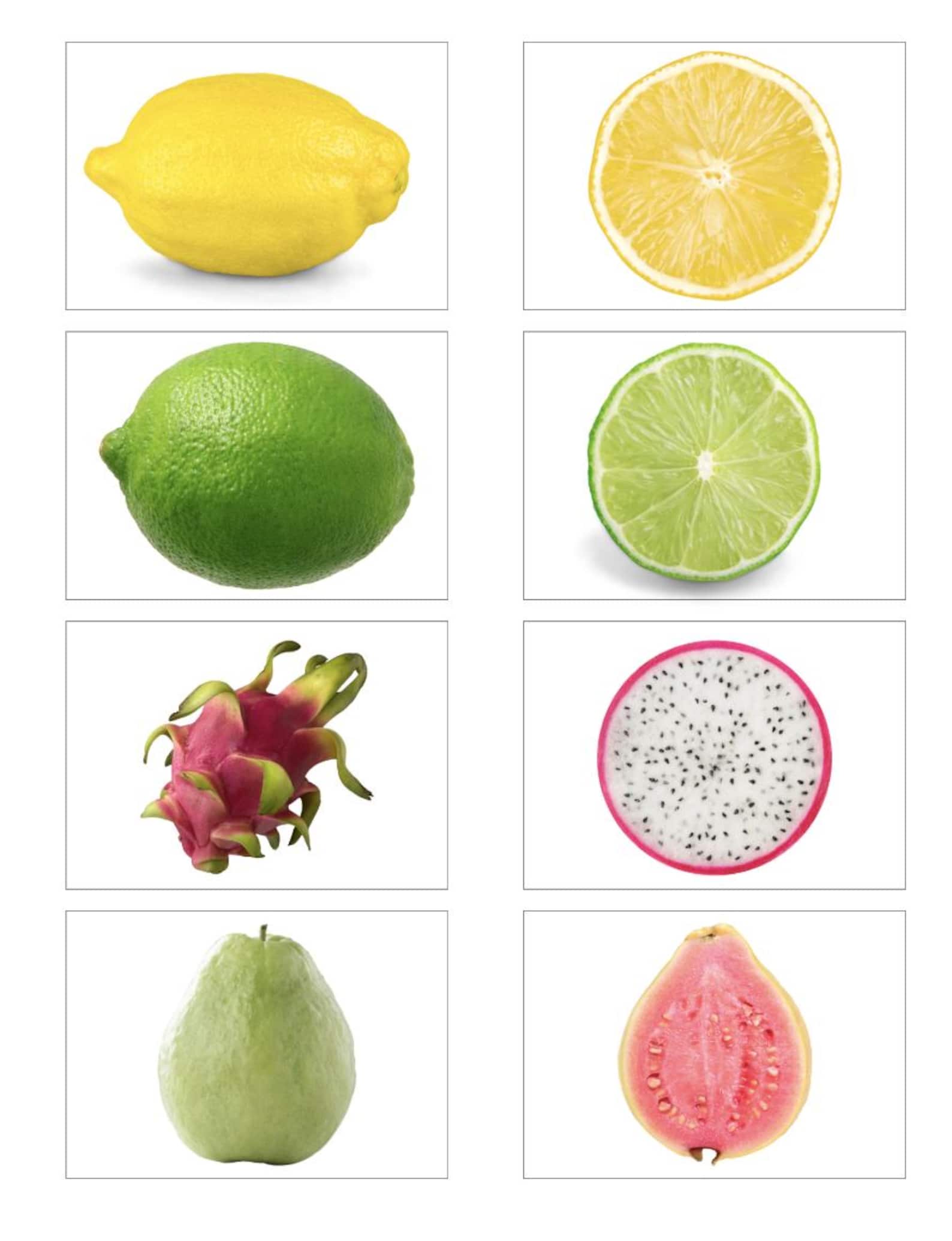 Fruit & Animal Print Montessori Matching Cards Printable - Etsy