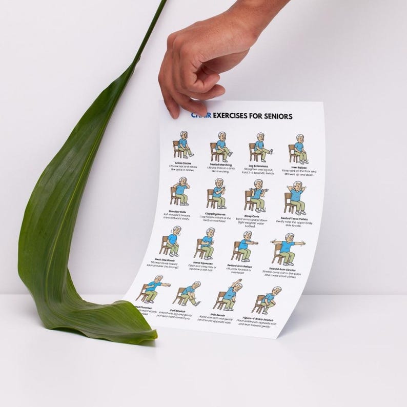 Chair Exercises for Seniors Poster, Seated Workout, Low Impact (PDF ...